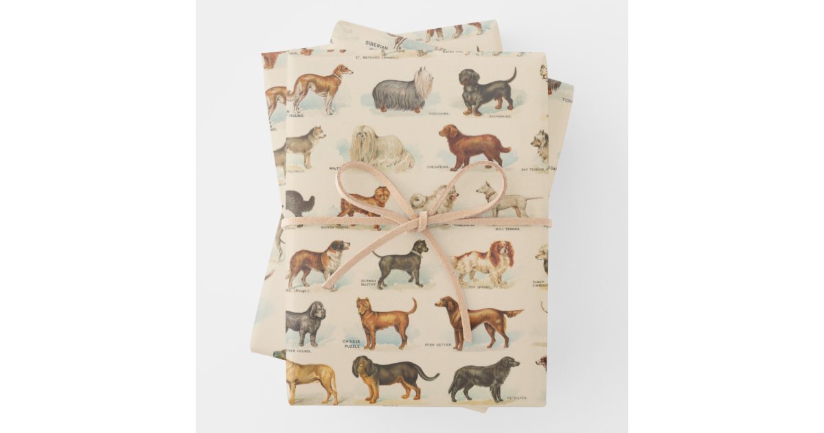 Vintage Dog Breed Drawings Patterned Wrapping Paper Sheets | Zazzle
