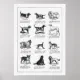 Vintage Dog Breed Illustration, Retro Dogs Poster | Zazzle