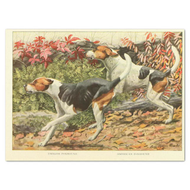 Vintage Dog Ephemera Decoupage English Foxhounds Tissue Paper | Zazzle