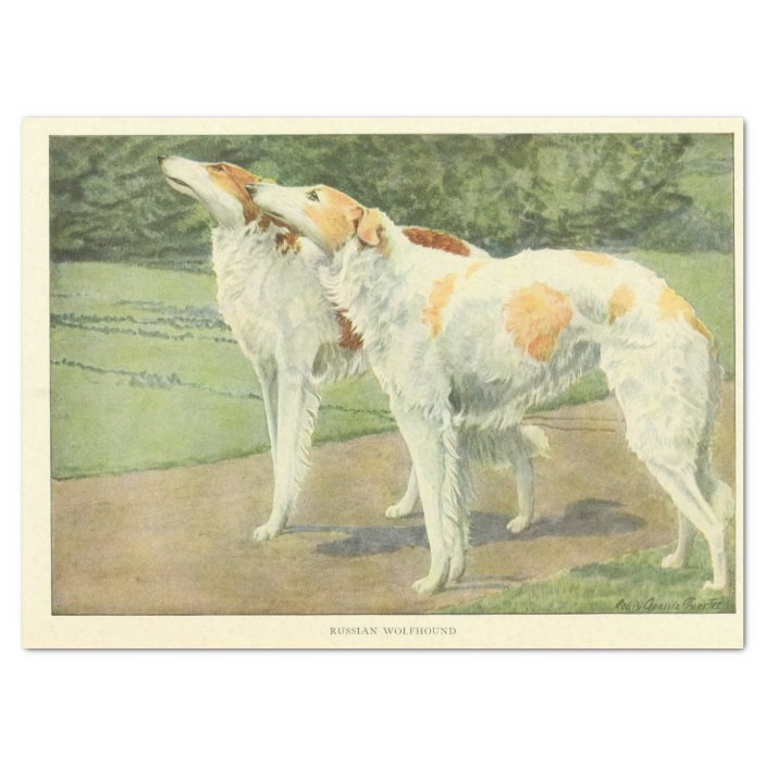 Vintage Dog Ephemera Decoupage Russian Wolfhounds Tissue Paper | Zazzle.com