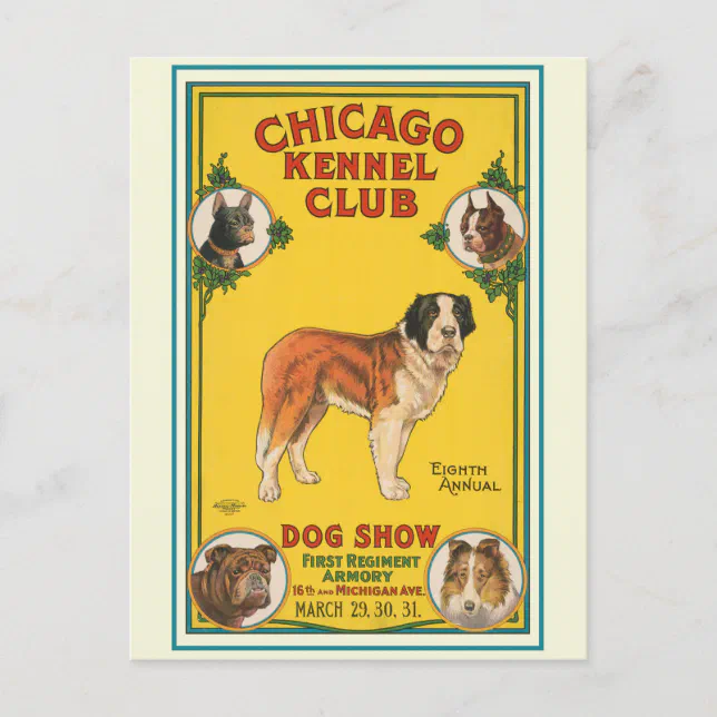 Vintage Dog Show Chicago Kennel Club Poster Postcard | Zazzle