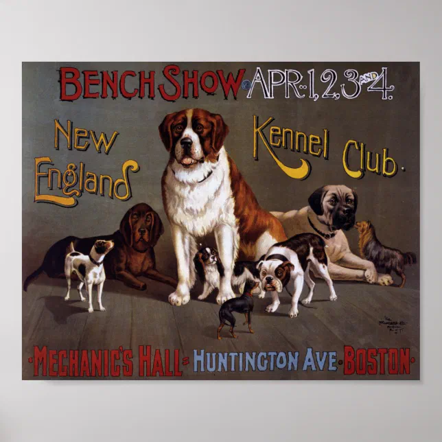 Vintage Dog Show Poster | Zazzle