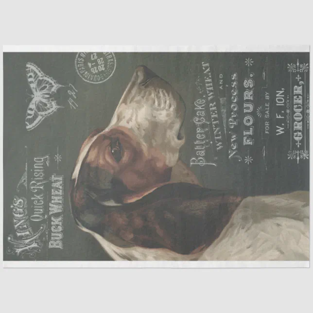 Vintage Dog with Ephemera Decoupage Tissue Paper | Zazzle