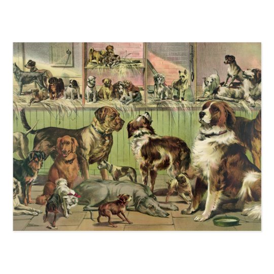 Vintage Dogs Postcard | Zazzle.com