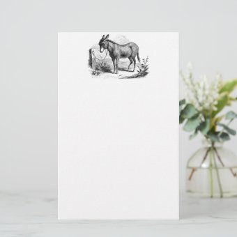 Vintage Domestic Donkey Personalized Retro Donkeys Stationery | Zazzle