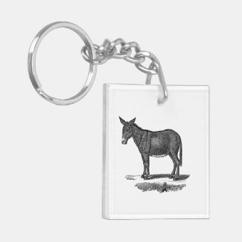 Vintage Donkey Illustration - 1800's Donkeys Keychain | Zazzle
