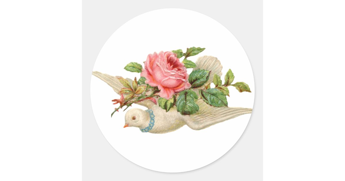 Vintage Dove and Rose Classic Round Sticker | Zazzle