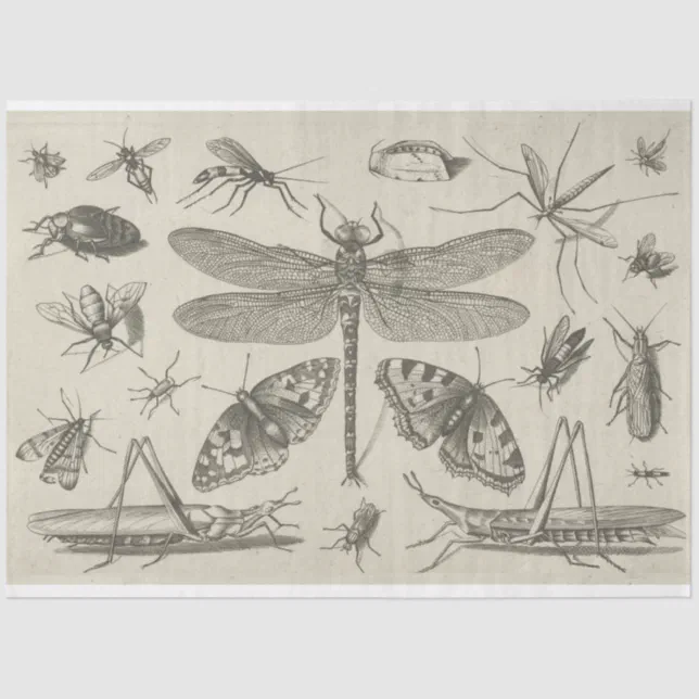 Vintage Dragonfly Insect Decoupage Tissue Paper | Zazzle