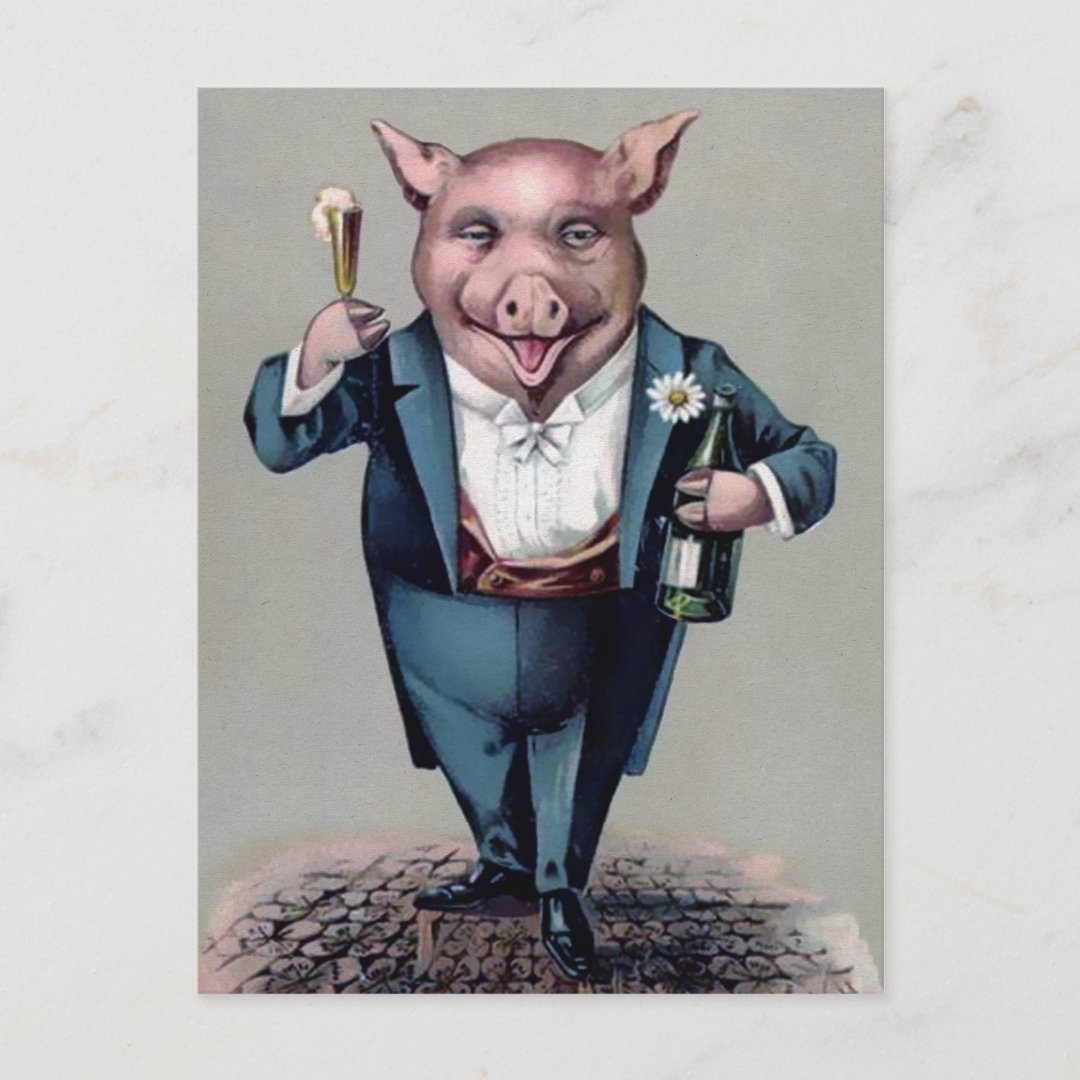 Vintage Drinking Pig Postcard | Zazzle