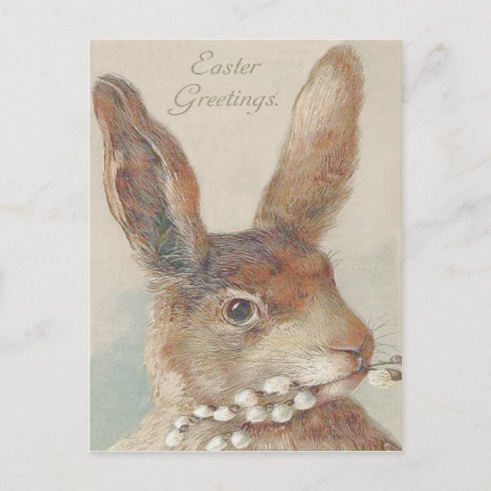 Vintage Easter Bunny Rabbit Holiday Postcard | Zazzle.com