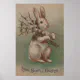 Vintage Easter Bunny Rabbit Poster | Zazzle
