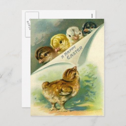 Vintage Easter Chicks Easter Card | Zazzle