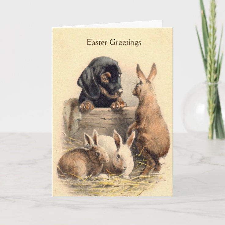 Vintage Easter - Dachshund Puppy & Bunnies, Holiday Card | Zazzle