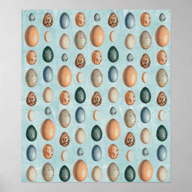 Vintage Eggs Poster | Zazzle