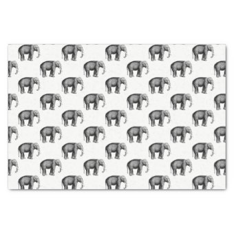 Vintage Elephant Drawing Tissue Paper | Zazzle