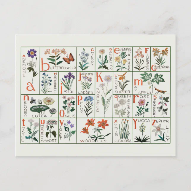 Vintage embroidery alphabet sampler | Wildflowers Postcard | Zazzle