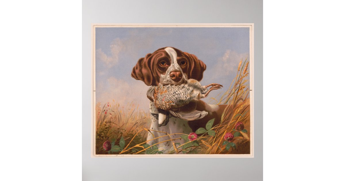 Vintage English Pointer Hunting Painting (1869) Poster | Zazzle