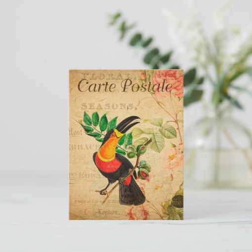 Vintage Exotic Tropical Toucan Bird Floral French Postcard | Zazzle