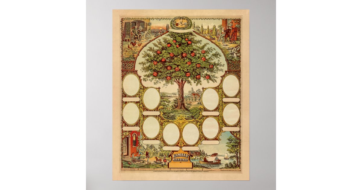 Vintage Family Tree Poster | Zazzle