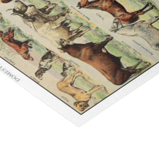 Vintage Farm Animals Decoupage Tissue Paper | Zazzle