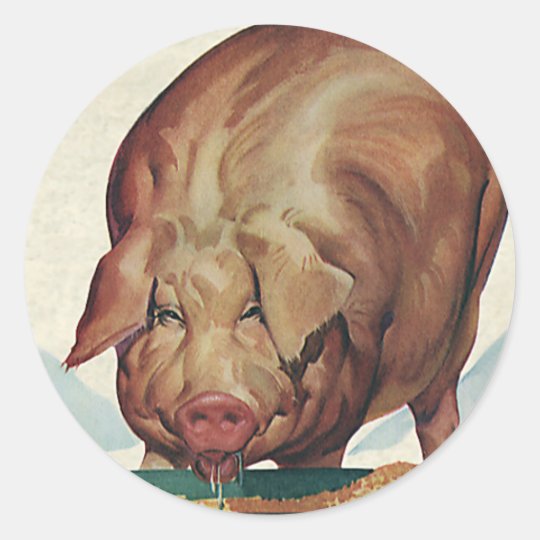 Vintage Farm Animals, Pig Eating Slop at a Trough Classic Round Sticker ...