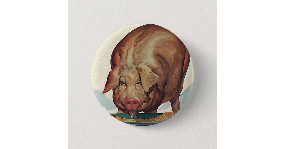 Vintage Farm Animals, Pig Eating Slop at a Trough Pinback Button | Zazzle