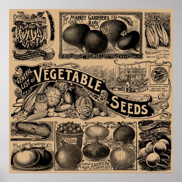 Vintage Farmers Market Vegetable Garden Poster | Zazzle.com