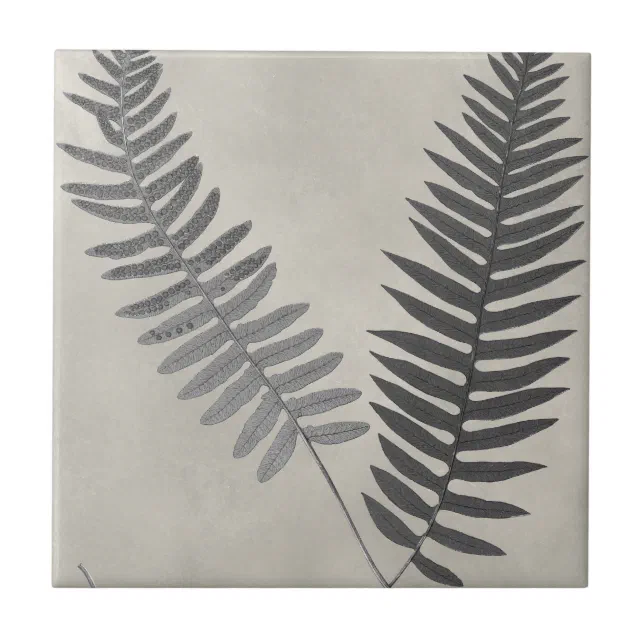 Vintage Ferns Ceramic Tile | Zazzle