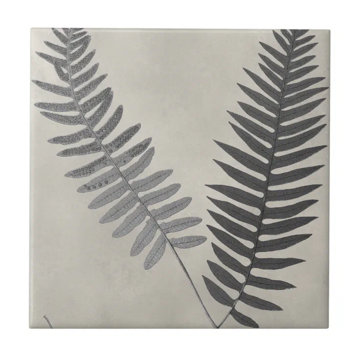 Vintage Ferns Ceramic Tile | Zazzle
