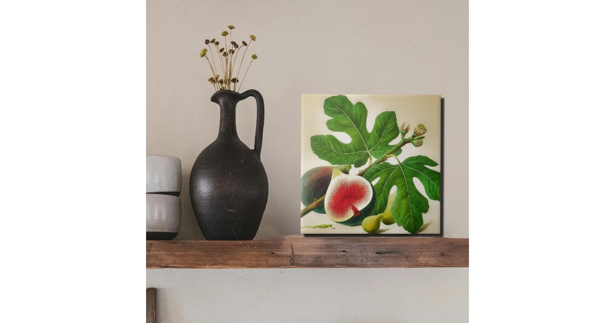 Vintage fig illustration ceramic tile | Zazzle