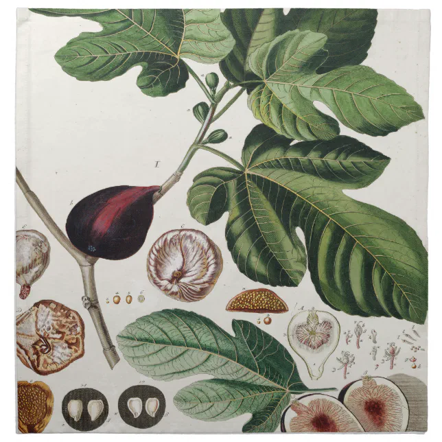 Vintage Figs Botanical Print Napkin | Zazzle