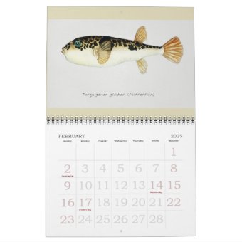 Vintage Fish Art Any Year Calendar | Zazzle