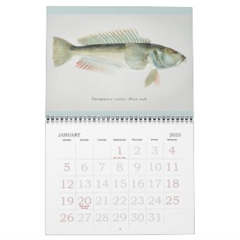 Vintage Fish Art Any Year Calendar | Zazzle