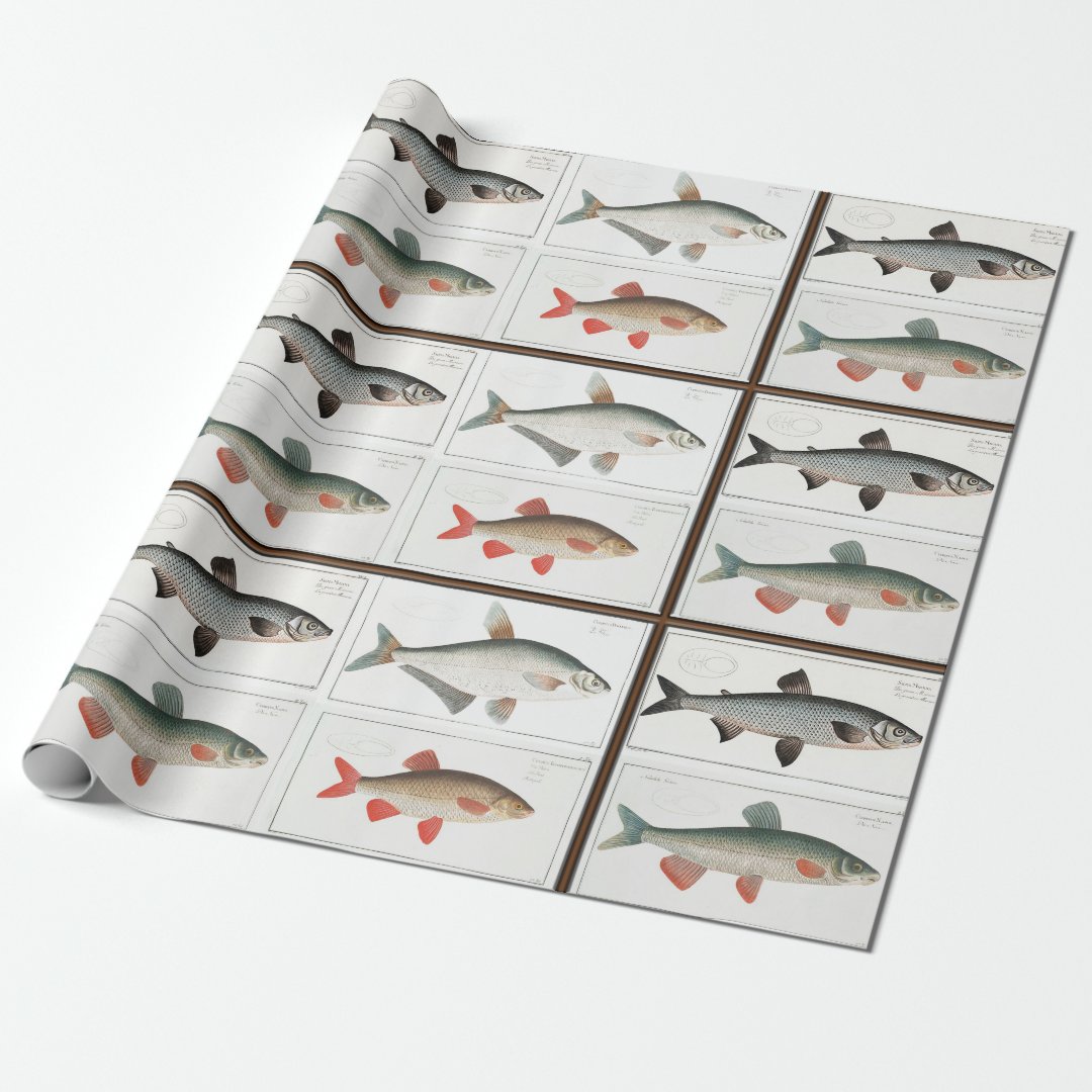 Vintage Fish Illustrations Wrapping Paper | Zazzle