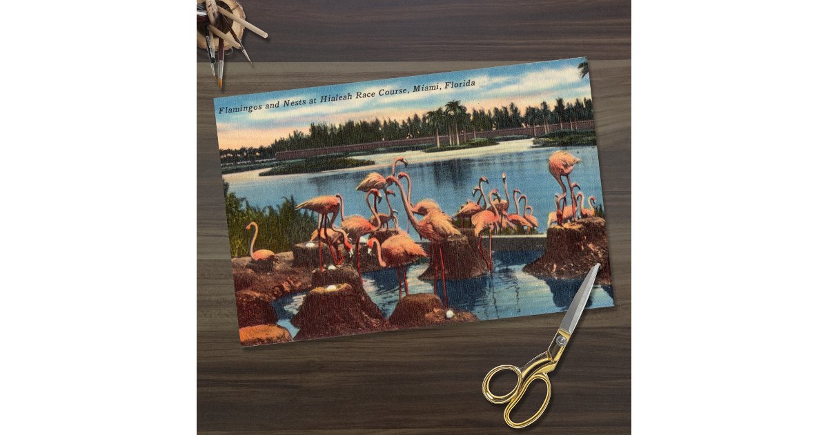 Vintage Flamingos on Nests in Miami Florida Tissue Paper | Zazzle