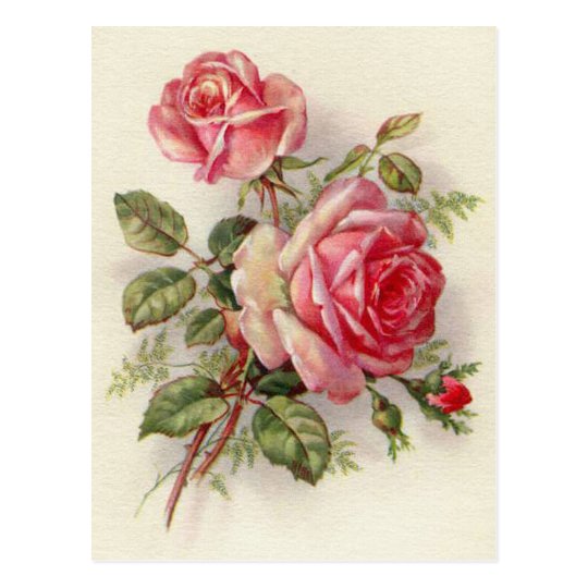 Vintage floral rose elegant postcard | Zazzle.com