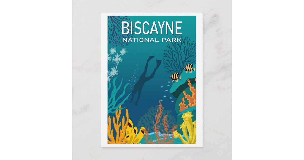 Vintage Florida Biscayne National Park Travel Postcard | Zazzle