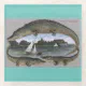 Vintage Florida Gators coasters. Tampa alligators Glass Coaster | Zazzle