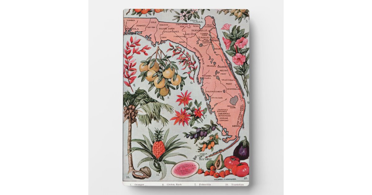 Vintage Florida Map Plaque | Zazzle