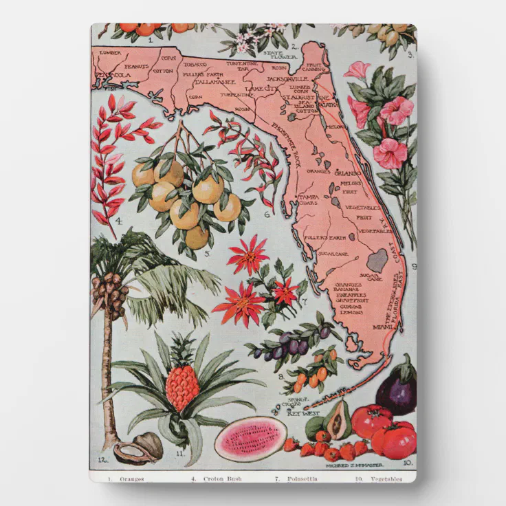 Vintage Florida Map Plaque | Zazzle