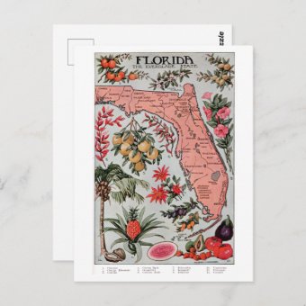 Vintage Florida Map Postcard | Zazzle