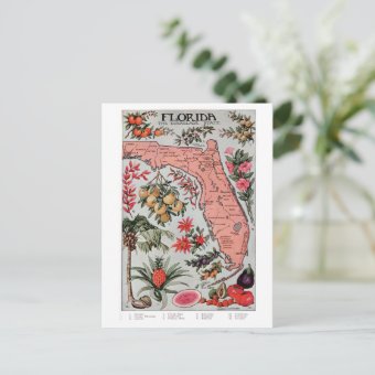 Vintage Florida Map Postcard | Zazzle