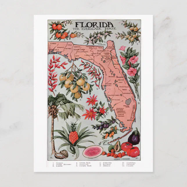 Vintage Florida Map Postcard | Zazzle