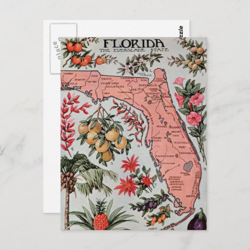 Vintage Florida Map Postcard | Zazzle