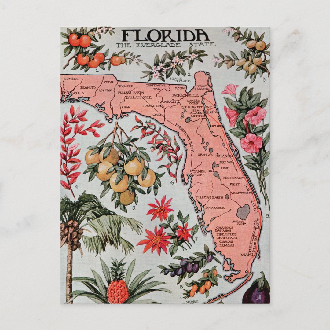 Vintage Florida Map Postcard | Zazzle