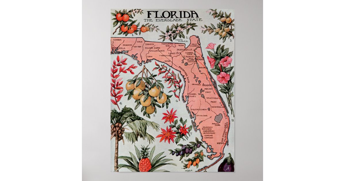Vintage Florida Map Poster | Zazzle