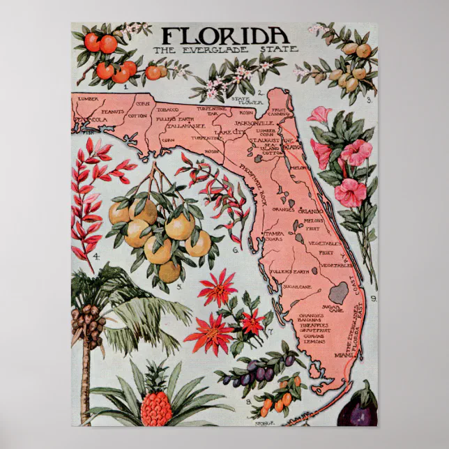 Vintage Florida Map Poster | Zazzle