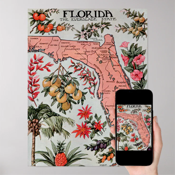 Vintage Florida Map Poster | Zazzle