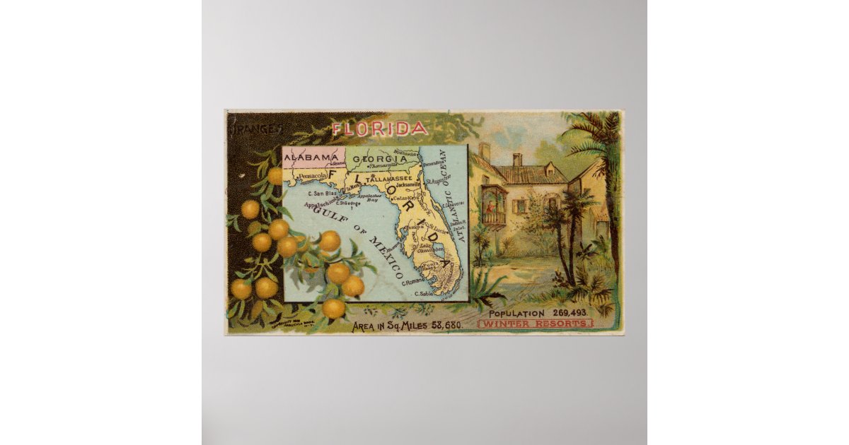 Vintage Florida Map with Illustrations (1890) Poster | Zazzle