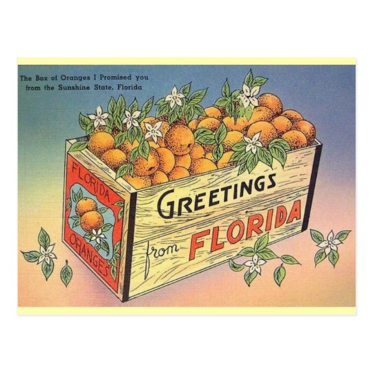 Vintage Florida Oranges Postcard | Zazzle.com